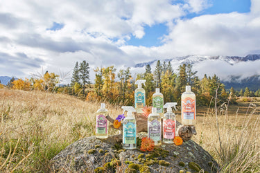 All Products – Wallowa Valley Cleaning Products